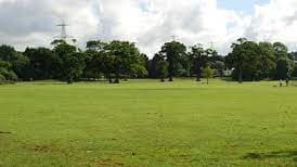Wildlife Day coming to Filham Park in Ivybridge | southhams-today.co.uk