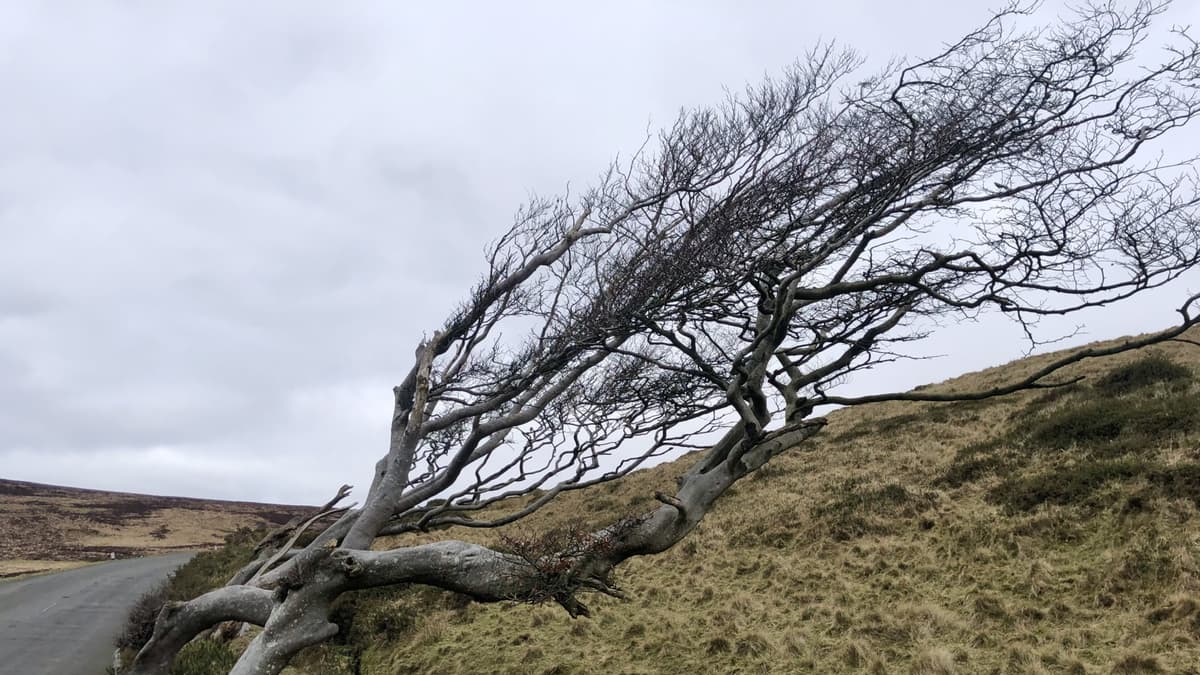 Revised Yellow Warning of swathes of winds over 60mph | southhams-today ...