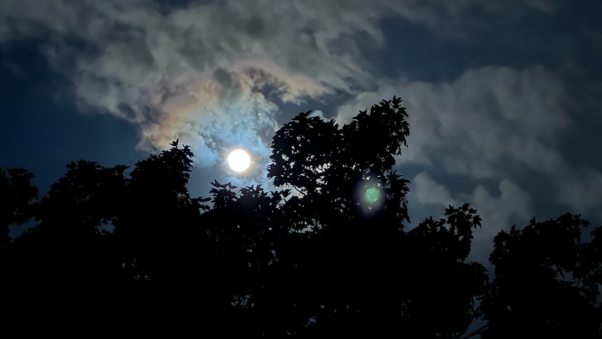 Did you see the Blue Moon last night? These readers did | southhams ...