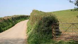 Devon Hedges Group reveal an interesting history | southhams-today.co.uk