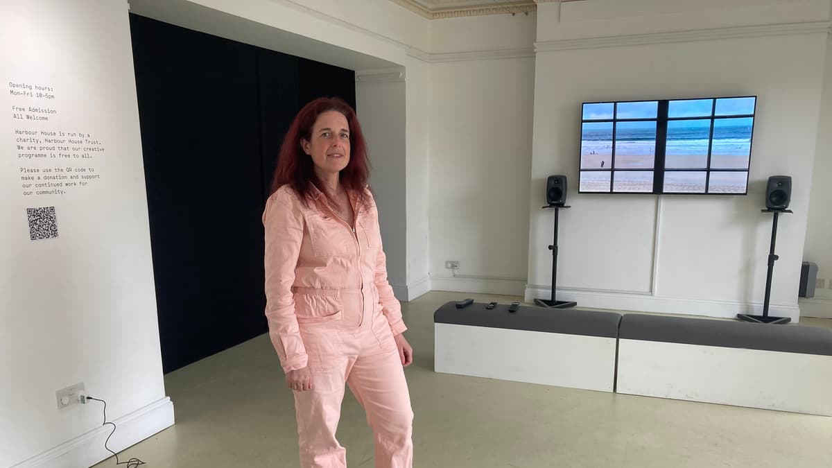 Director of the Harbour House gallery in Kingsbridge Amy Dickson ...