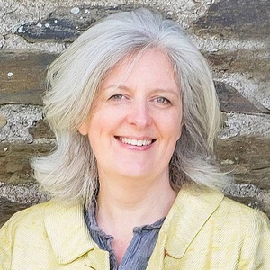 General Election 2024: the South Devon constituency candidates ...