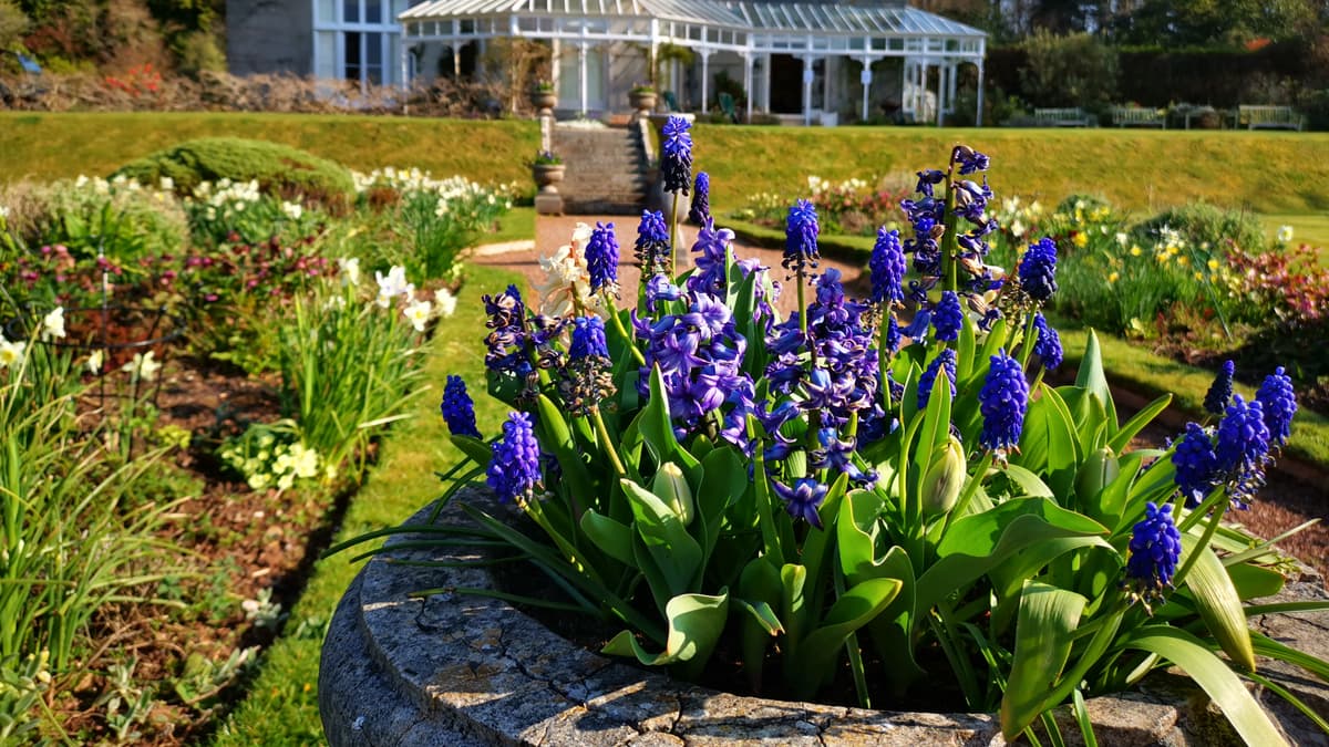 Chance to see gardens usually closed to the public | southhams-today.co.uk