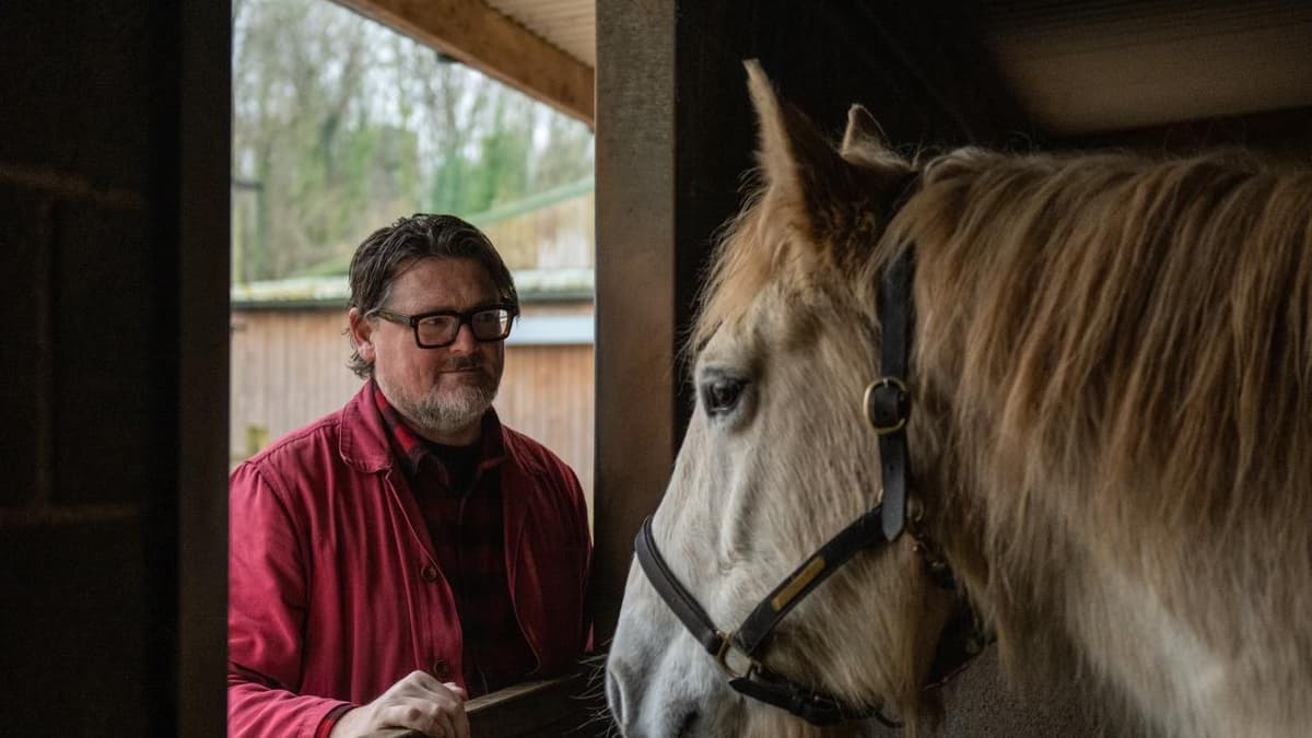 Equine welfare crisis | southhams-today.co.uk