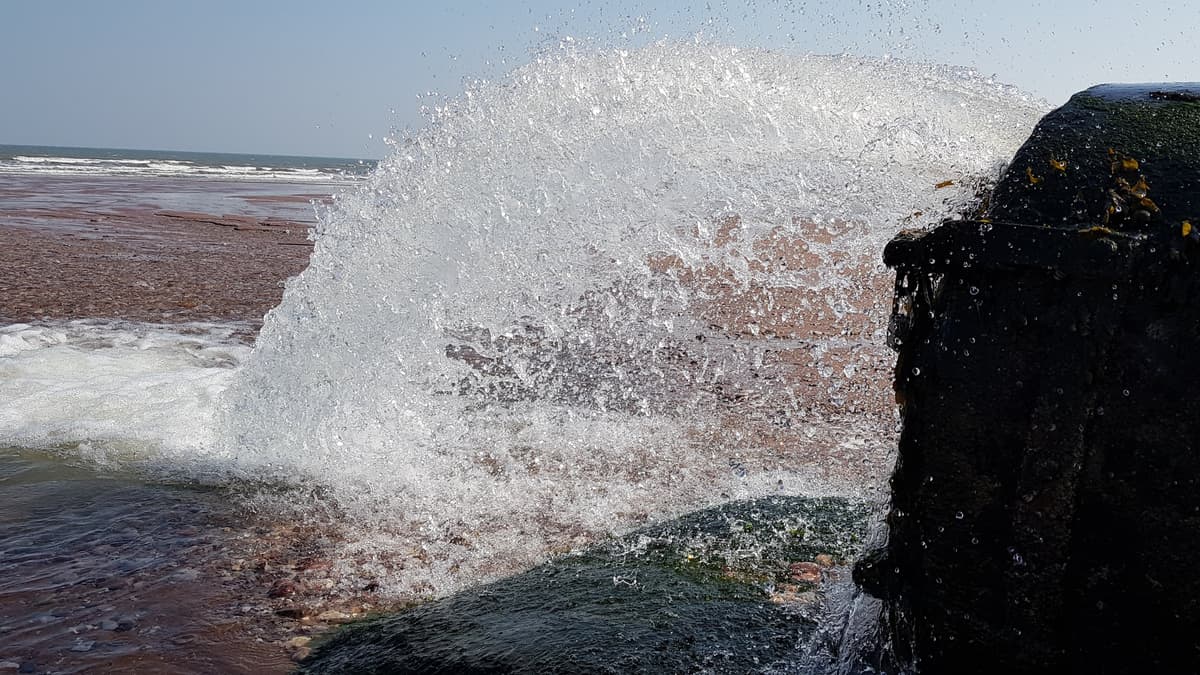 Devon MPs demand urgent action on sewage spill 'scandal' | southhams ...