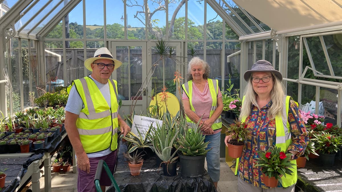 Dartmouth Green Partnerships: 52 Years of horticultural excellence ...