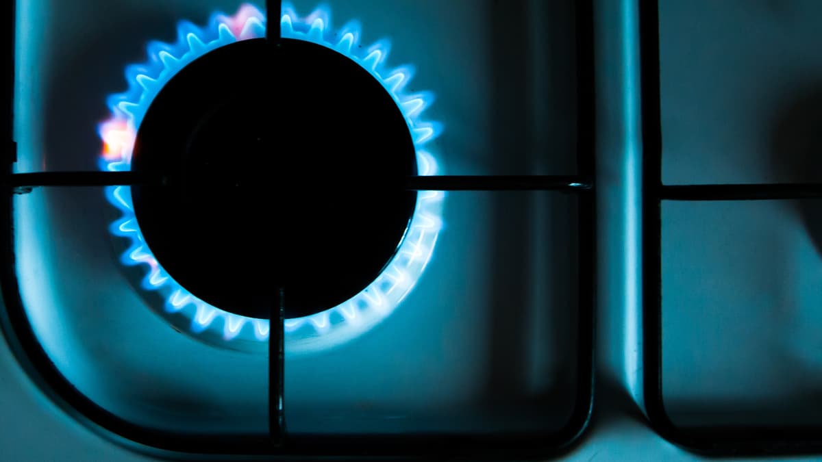 Kingsbridge Gas Outage: Repairs Underway After Main Damage | southhams ...