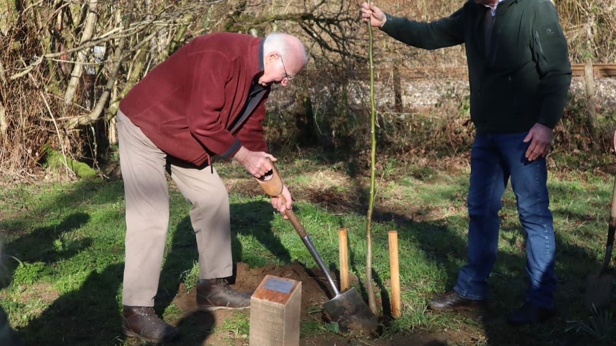 Tree warden celebrated with ceremonial tree planting | southhams-today ...