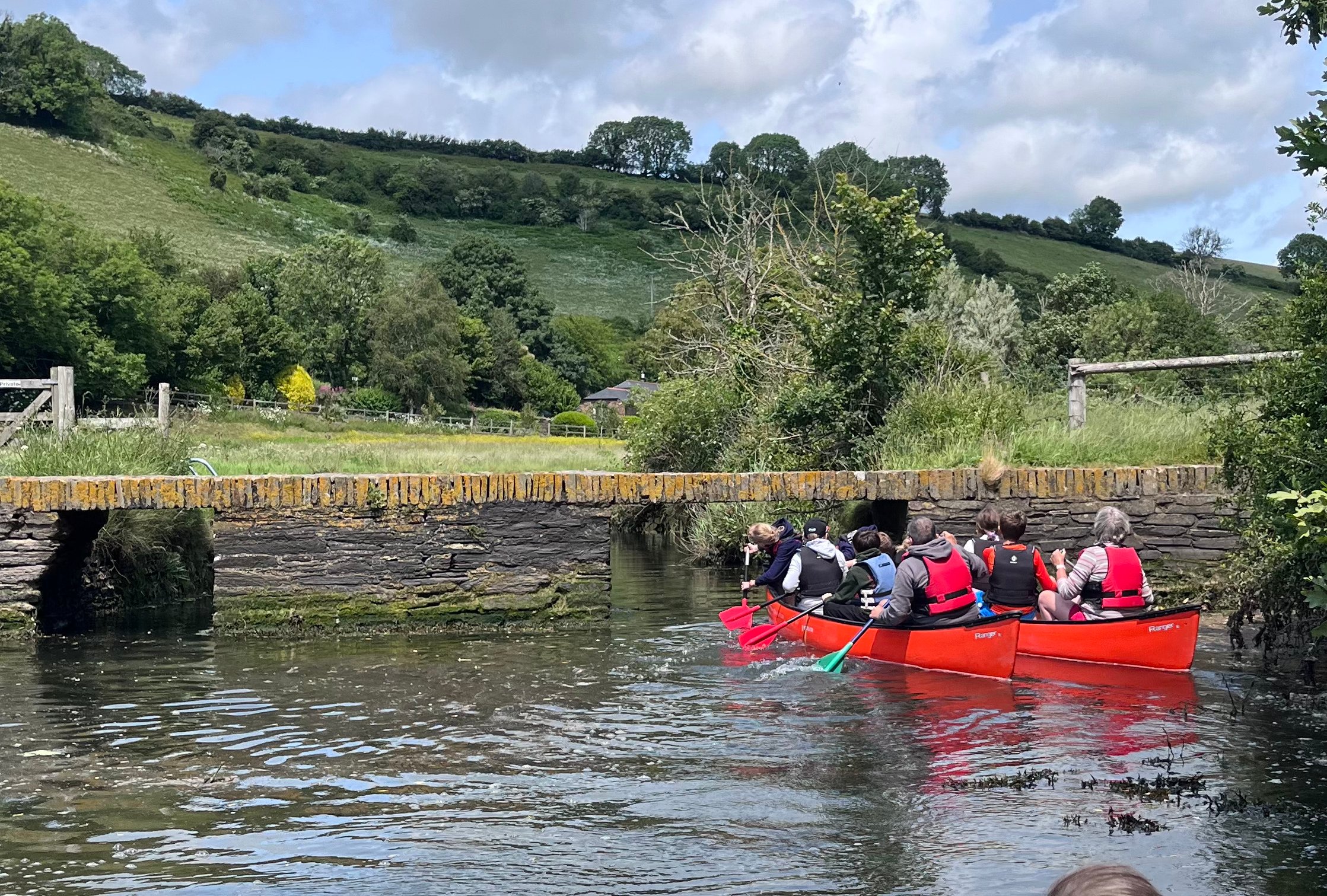 Exploring Bowcombe Creek: A Wildlife Canoe Journey | southhams-today.co.uk