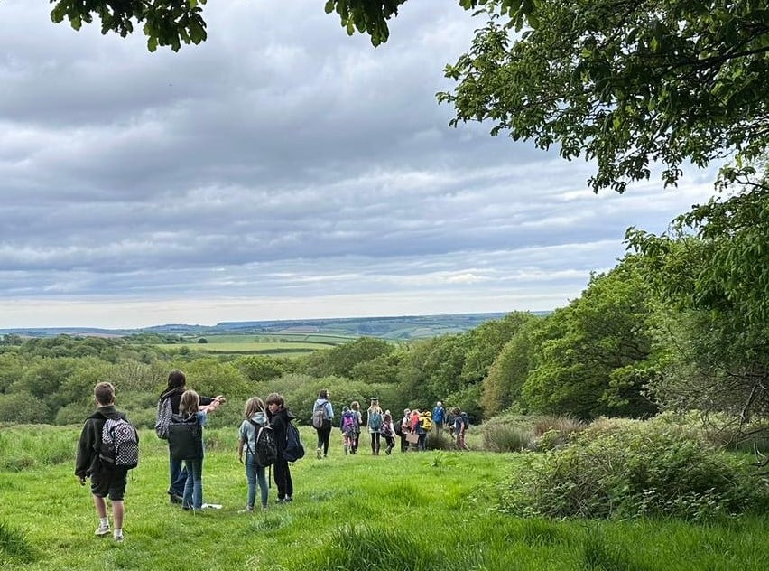 Birds make a welcome return to Salcombe-Kingsbridge Estuary | southhams ...